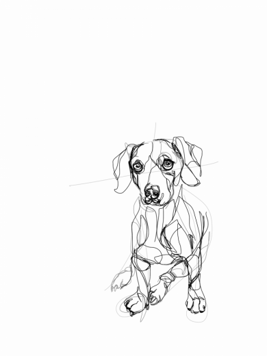 Dog Portraits | Digital Drawings - Inge Koetzier van Hooff