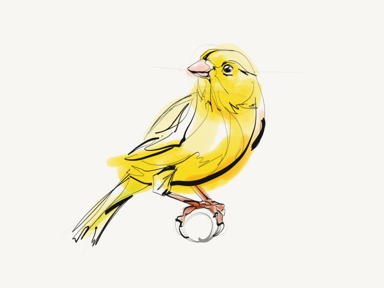 Canary Bird | Digital Drawing | Print - Inge Koetzier van Hooff